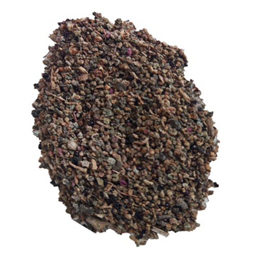 Suaeda Glauca & Suaeda Salsa Seeds – HeYou Seeds